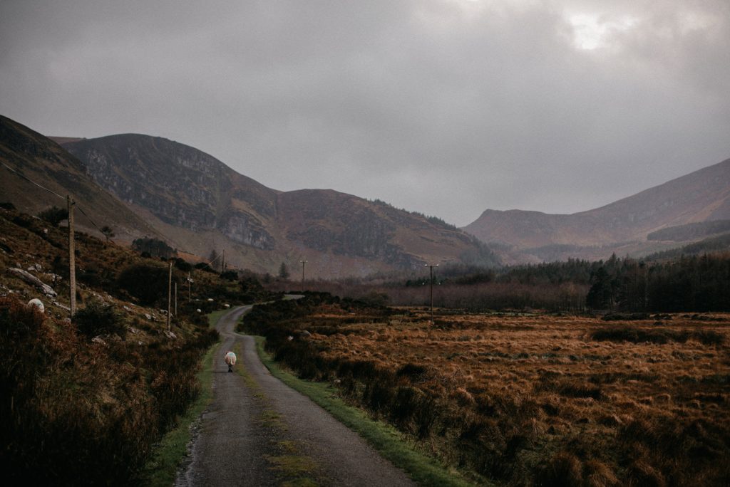 Dingle Peninsula Couple Session | Megan and Yates